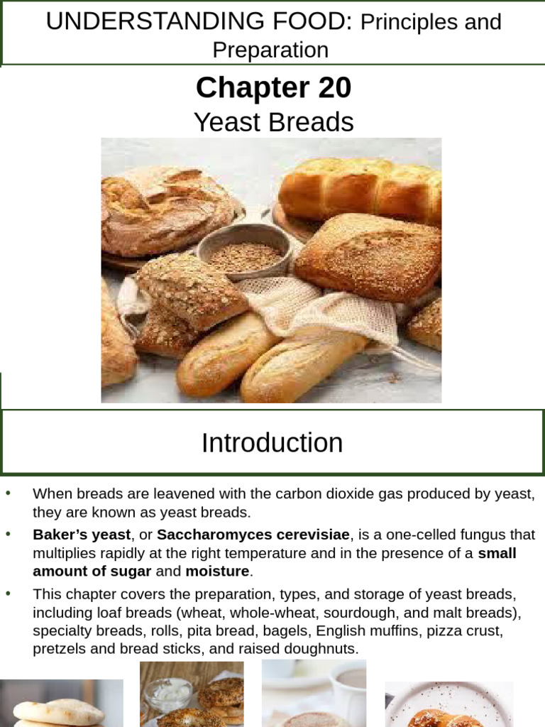 Ch20 Yeast Breads.. | PDF