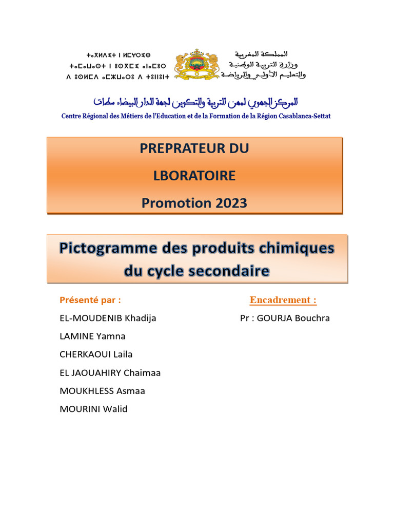 Pictogrammes | PDF