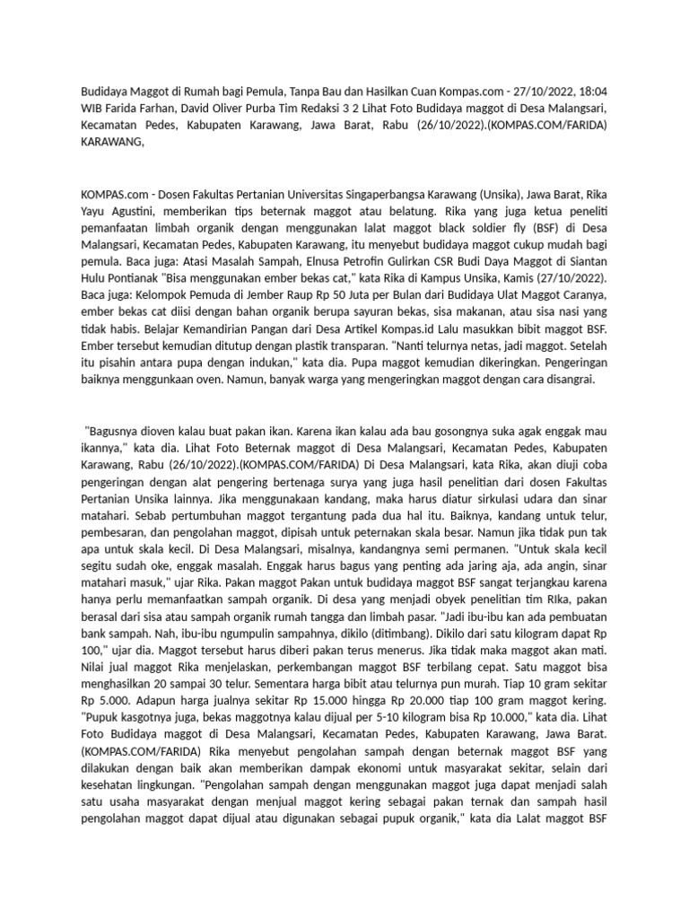 Budidaya Maggot di Rumah bagi Pemula | PDF