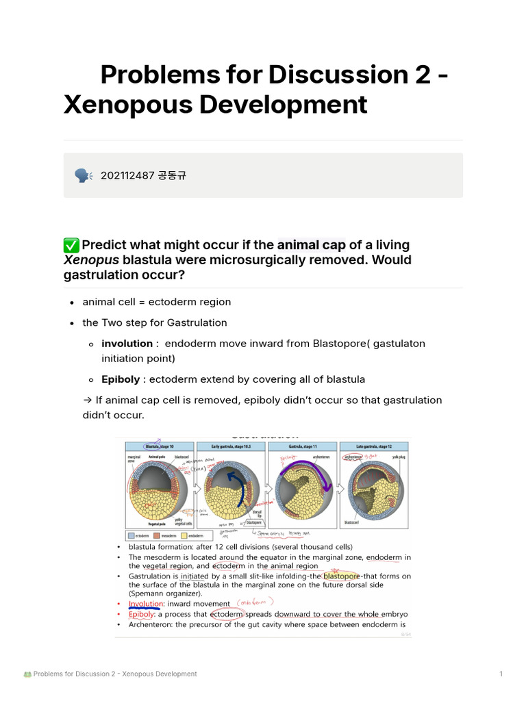 Xenopus Development Discussion Problems | PDF | Developmental Biology ...