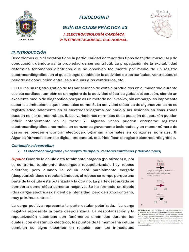 Guia 3 de Fisio 2do Sem ECG | PDF