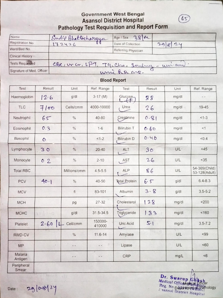 Complex Reports_1 | PDF