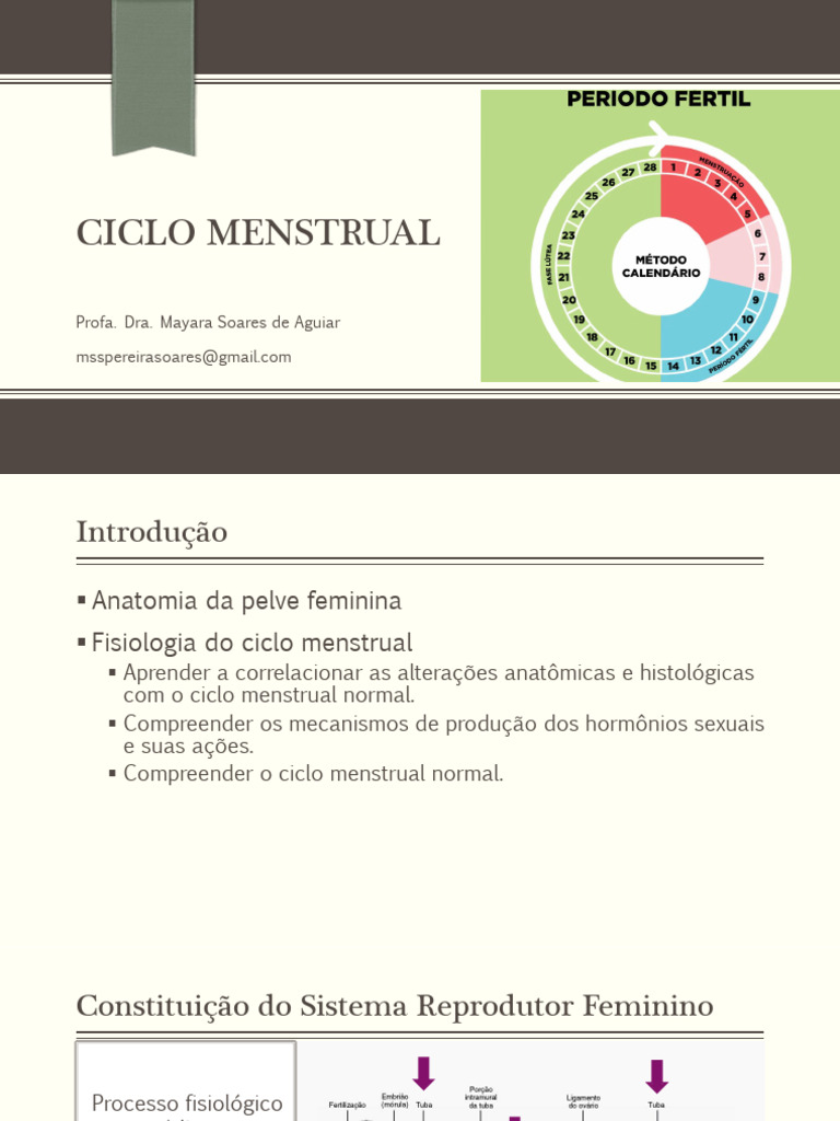 Ciclo Menstrual | PDF