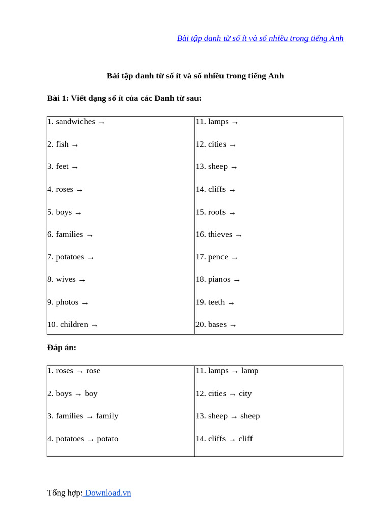 bai-tap-danh-tu-so-it-va-so-nhieu | PDF