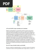 BMS Single Line Diagram & Schedule of Points | PDF | Hvac | Elevator