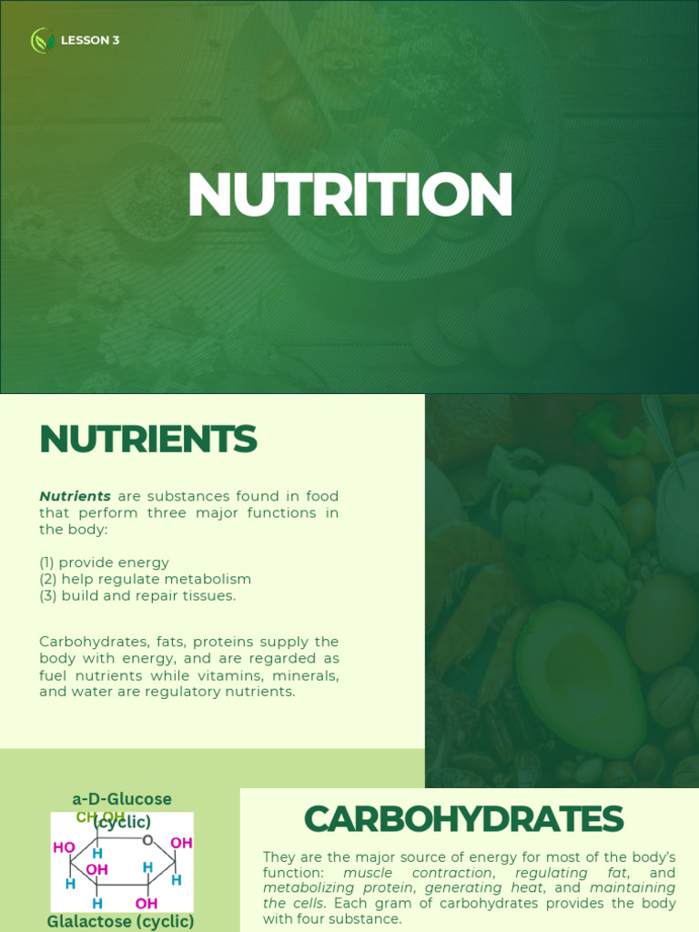 LESSON 3 - Nutrition | PDF
