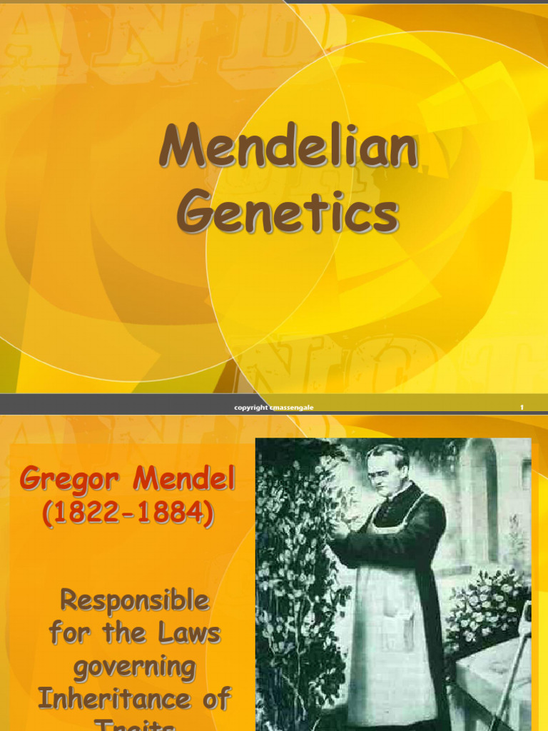 Lesson 4.3 Mendelian Genetics | PDF
