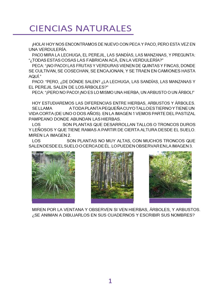 Cs Naturales Plantas | PDF