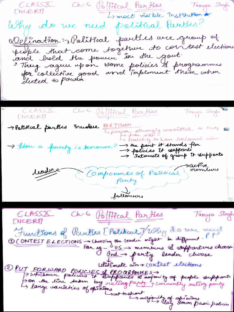 CH 4 Political Parties | PDF