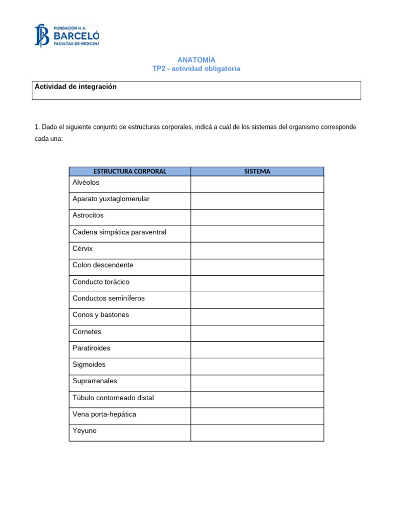 Sistemas Corporales y Funciones Clave | PDF