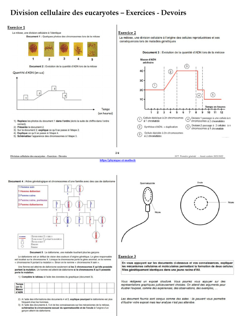 Division Cellulaire Eucaryotes Exercices Pdf
