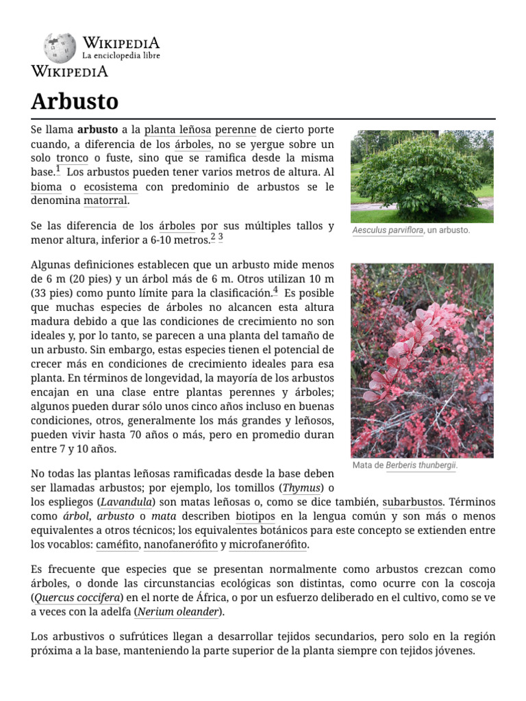 Arbusto - Wikipedia, La Enciclopedia Libre | PDF | Arbusto | Hogar ...