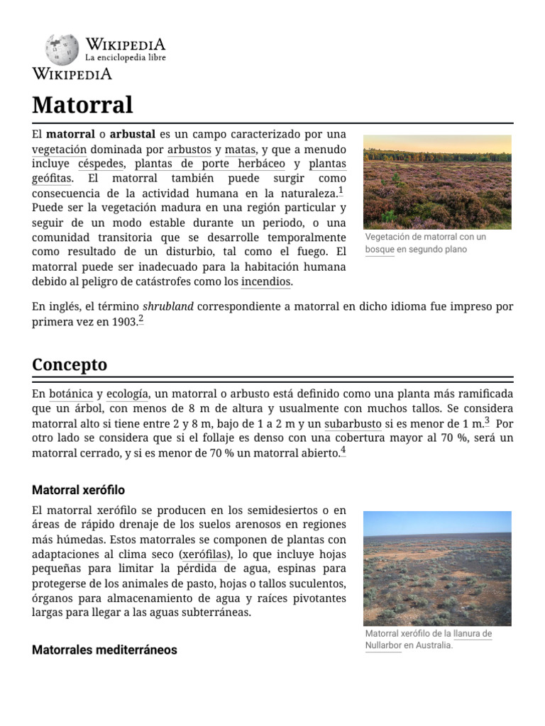 Características del Matorral | PDF | Botánica | Hogar, jardinería y bricolaje