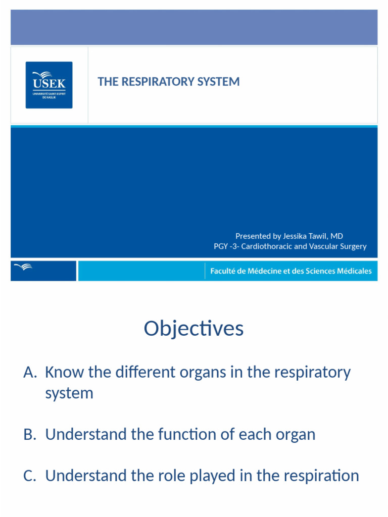 The Respiratory System - Course | PDF