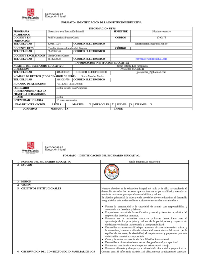 Formato Identificación de La IE | PDF