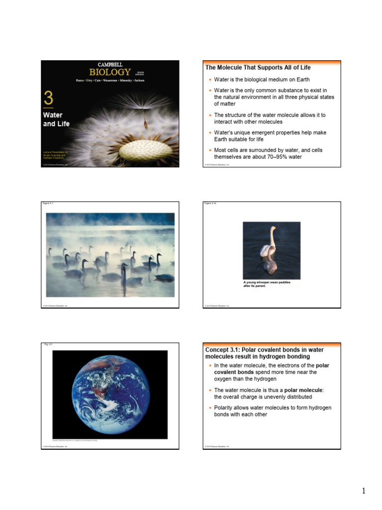 03 Lecture Presentation | PDF