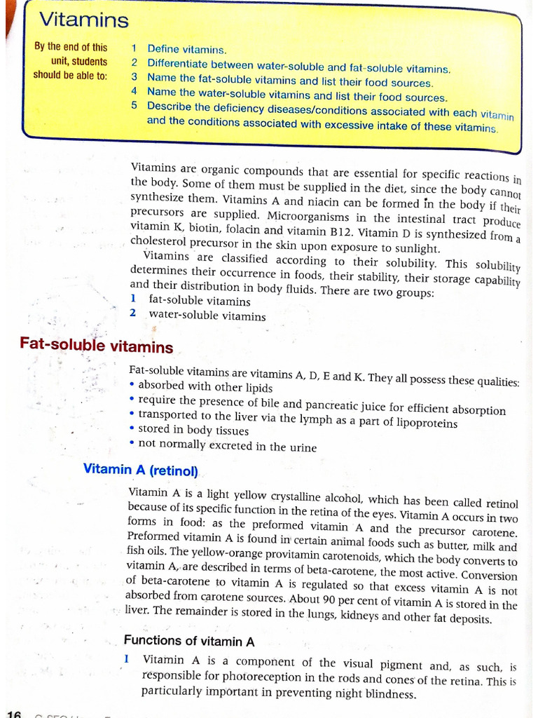 Vitamins Handout | PDF