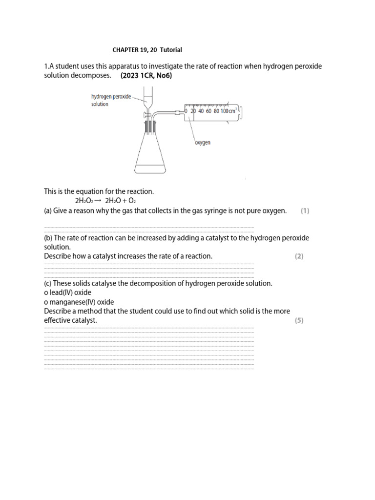 CHAPTER 19, 20 Tutorial | PDF
