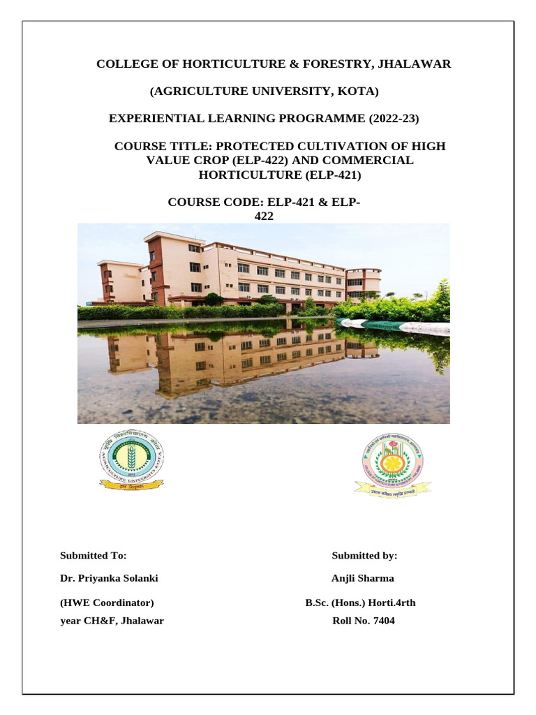 ANJLI ELP REPORT R | PDF