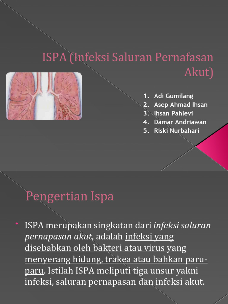 Kelompok 10 Ispa | PDF
