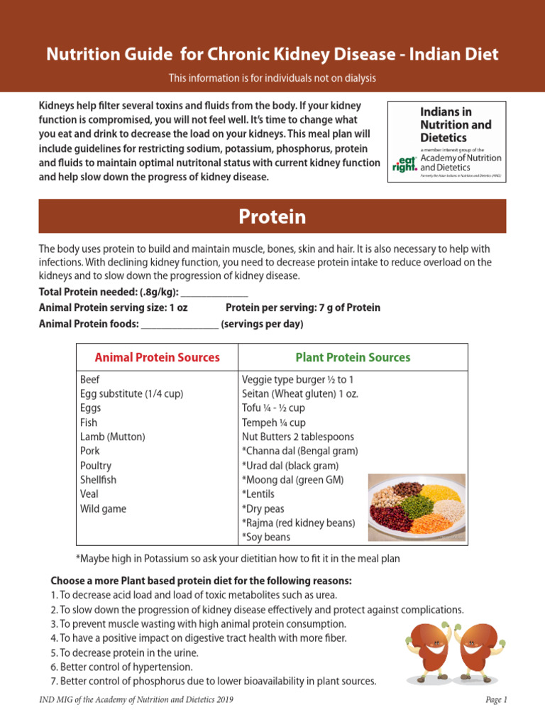 Renal Diet For Indian Population IND MIG Handout FINALf | PDF