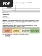 Exemple Fiche Descriptive D'activité Professionnelle | PDF