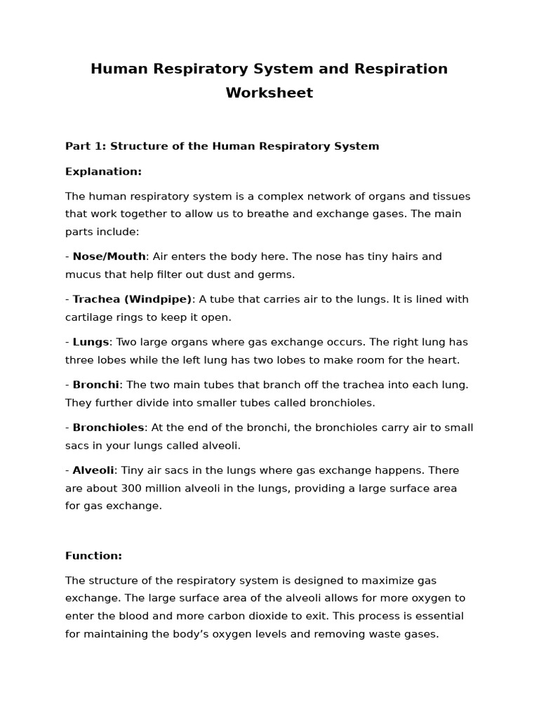 Respiration Reinforcement Worksheet | PDF