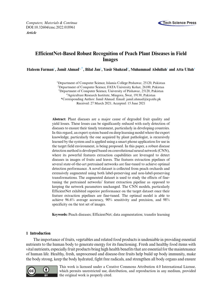 EfficientNet-Based Robust Recognition of Peach Pla | PDF | Deep Learning | Computers