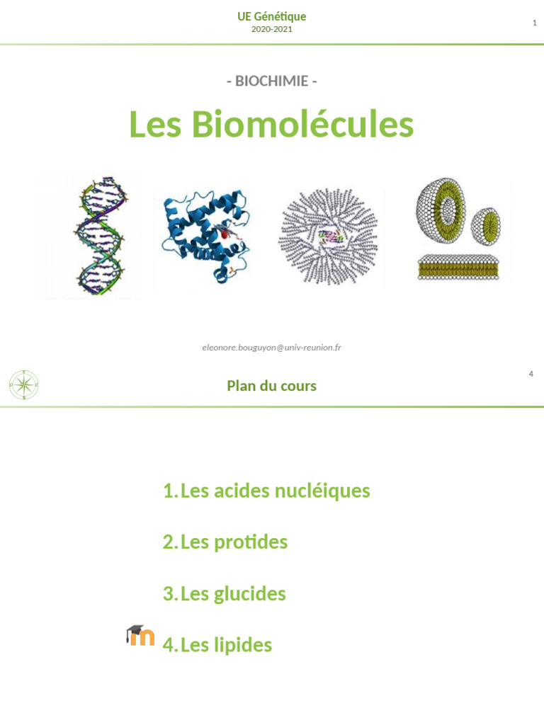 CM2 Protides - 2020 | PDF