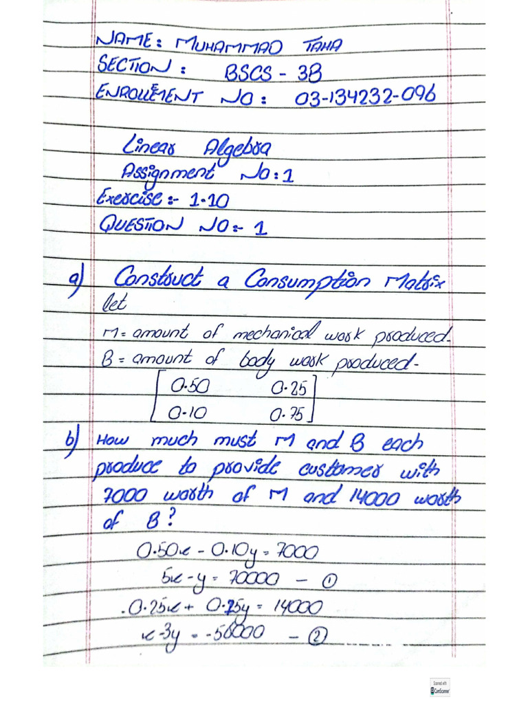 Linear algebra assignment | PDF