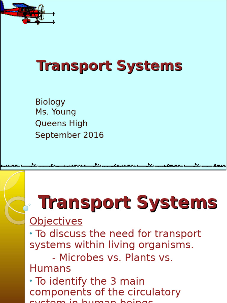 Biology - Transport Systems | PDF