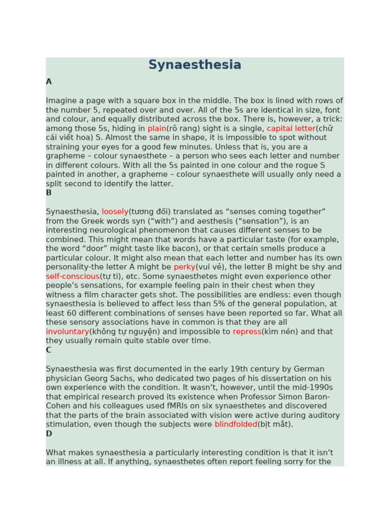 Synaesthesia | PDF