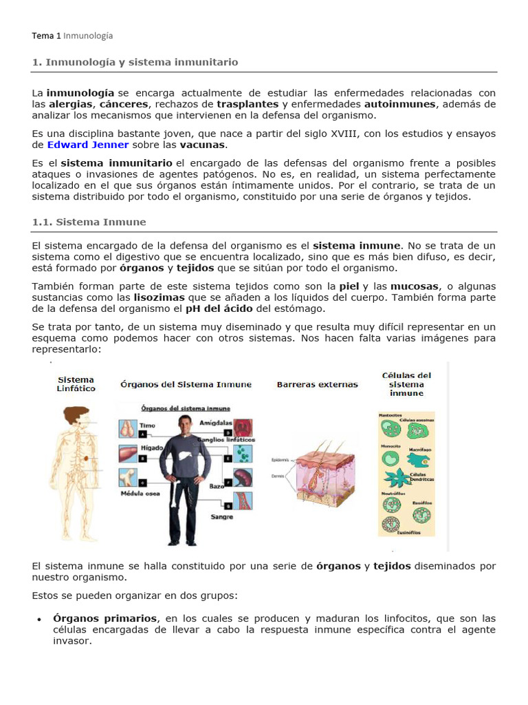 Bloque 4, Tema 1 Biología | PDF