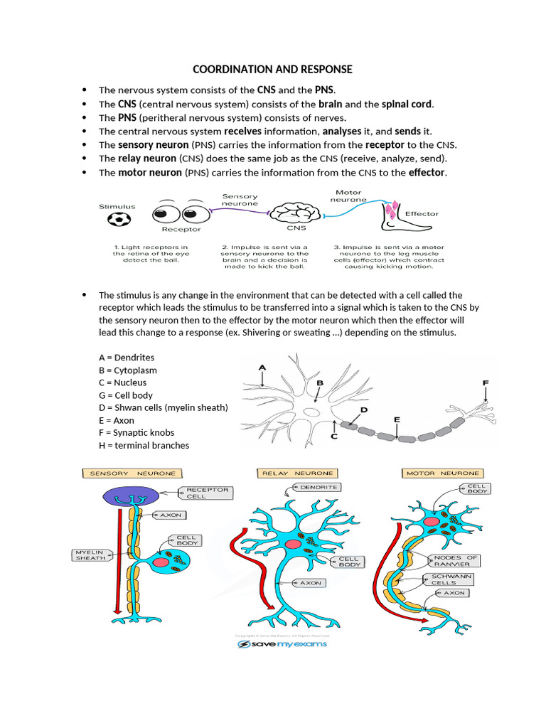 COORDINATION AND RESPONSE | PDF