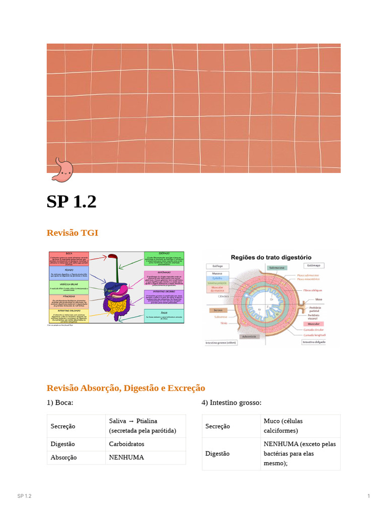 Resumo SP 1.2 Etapa 2 - 2024 | PDF