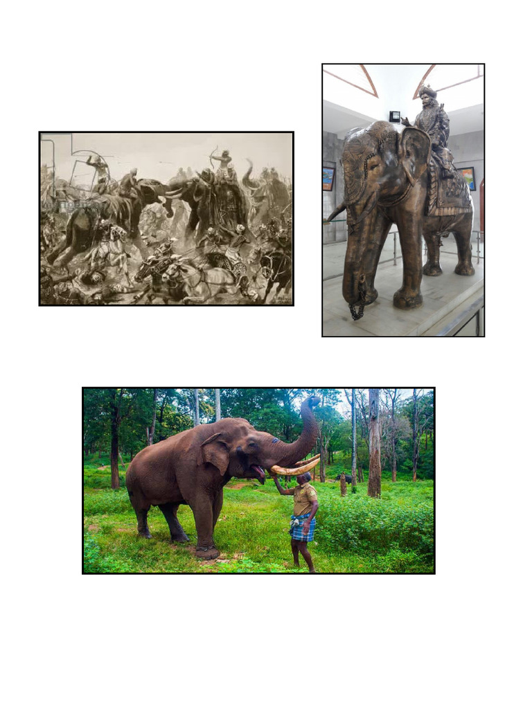 Elephant | PDF