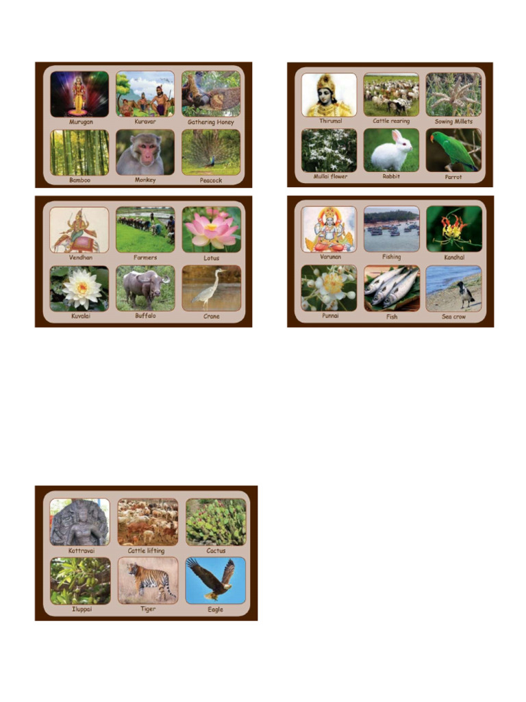 5 Lands | PDF