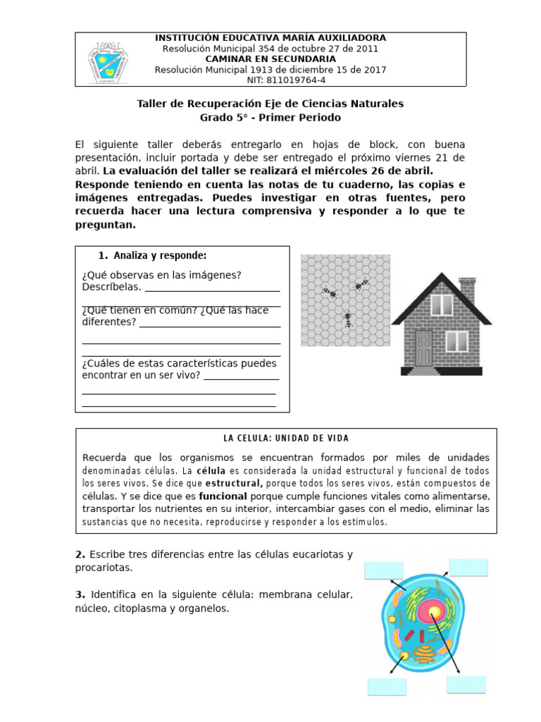 Taller de Ciencias Naturales Grado 5° | PDF