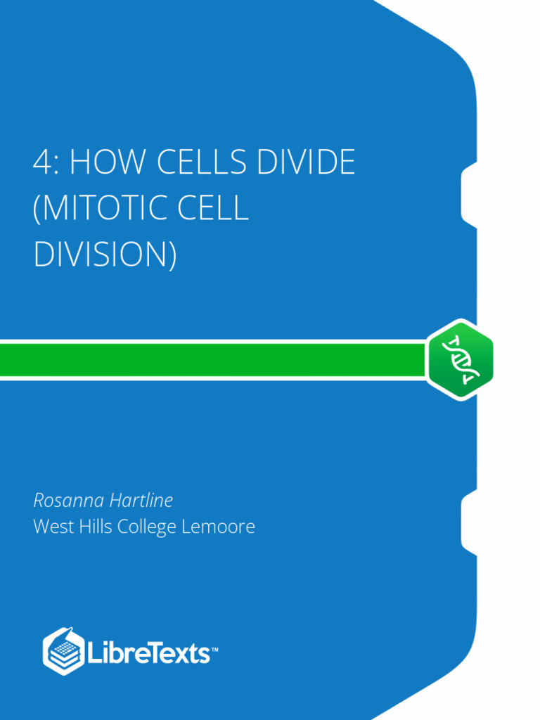 Cell Division | PDF