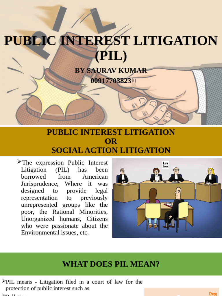 Public Interest Litigation (Pil) Constitutional Law | PDF