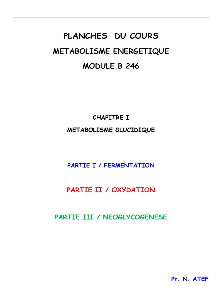 Planches Glucides P2 Oxydation Et Néoglycogenèse 2022 23 VF | PDF