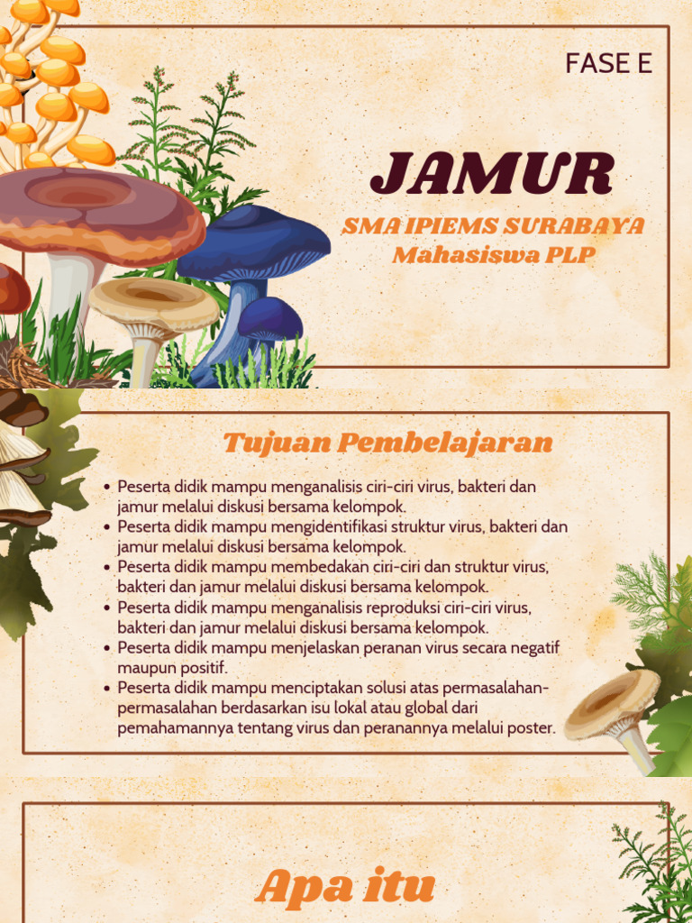 Jamur XM3 | PDF