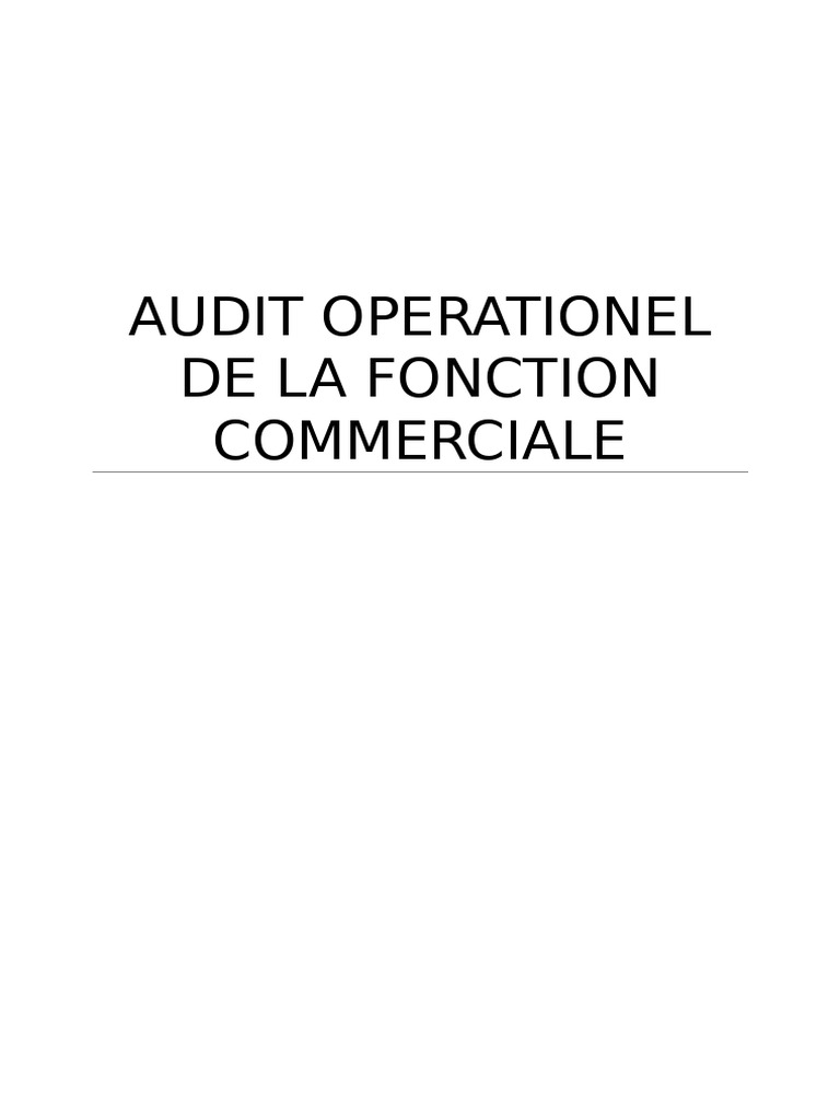 Audit commercial | PDF