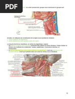 Anatomie de la veine jugulaire interne | PDF | Cou | Anatomie humaine