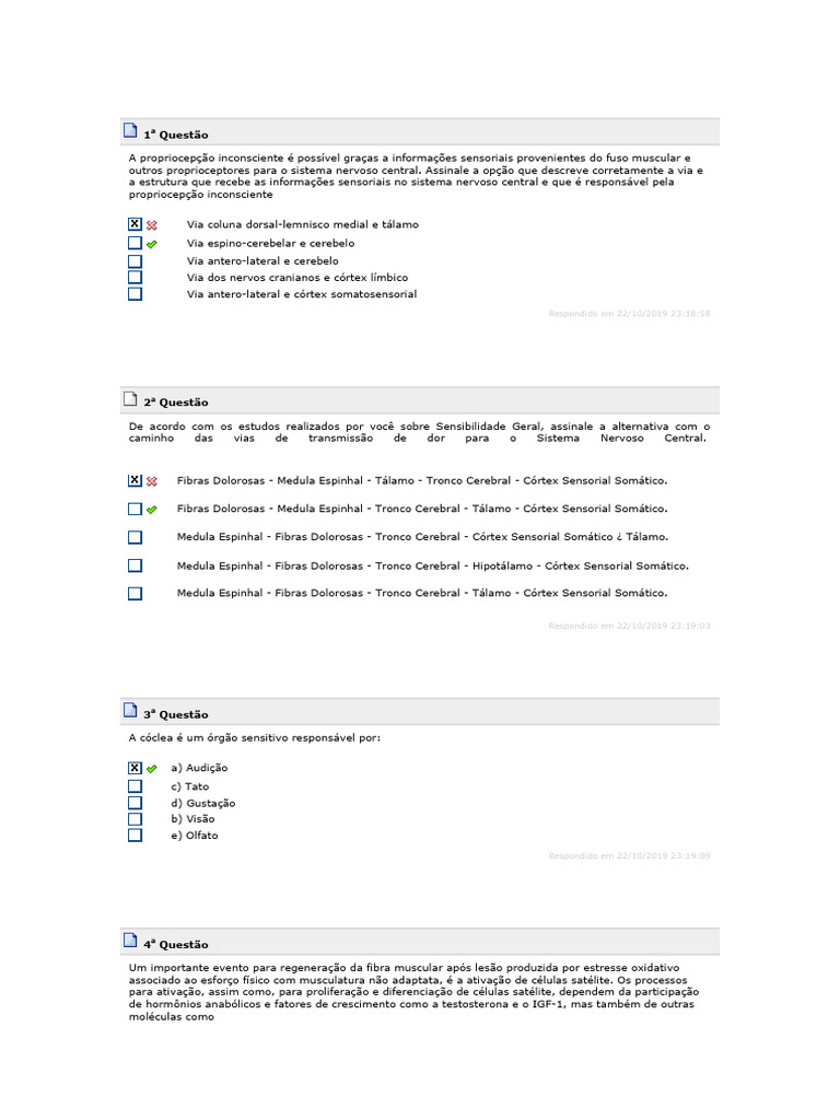Fisiologia - Exercício 3 | PDF | Olho | Ciências e Matemática