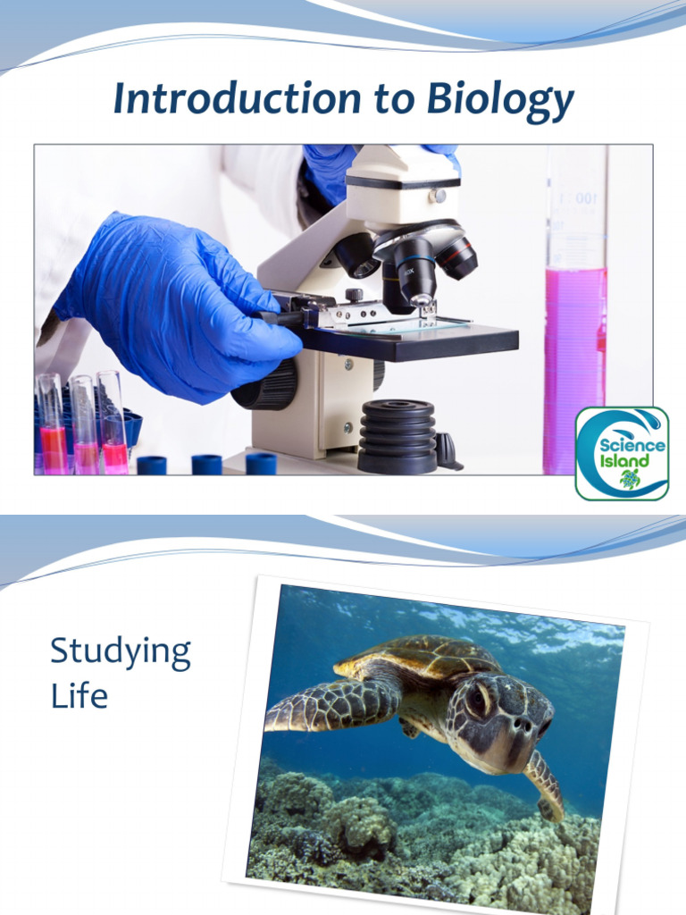 2 Intro To Biology | PDF