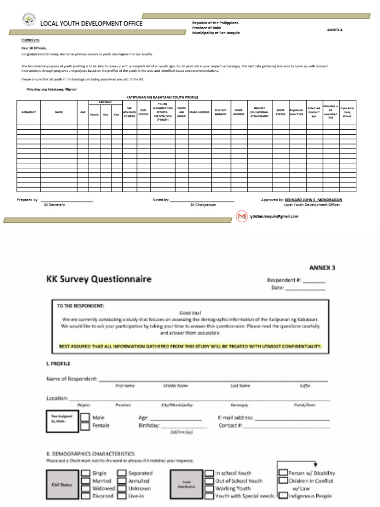 Youth Profiling | PDF
