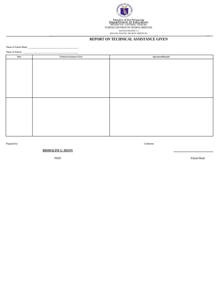 Technical Assistance Template | PDF