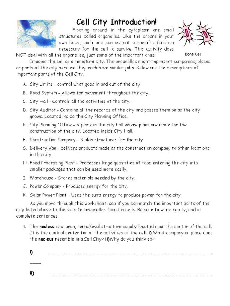 Cell City Intro | Cytoplasm | Cell (Biology)