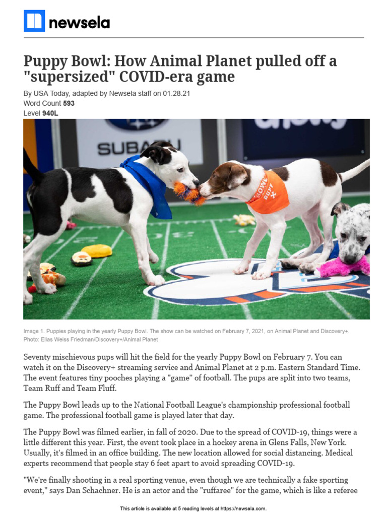 Puppy Bowl 2021 2001018315 Article - and - Quiz | PDF
